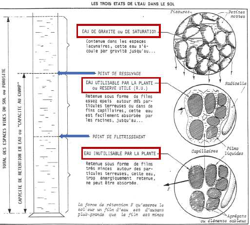 Les propriétés du sol - Cours de Licence 3 ST